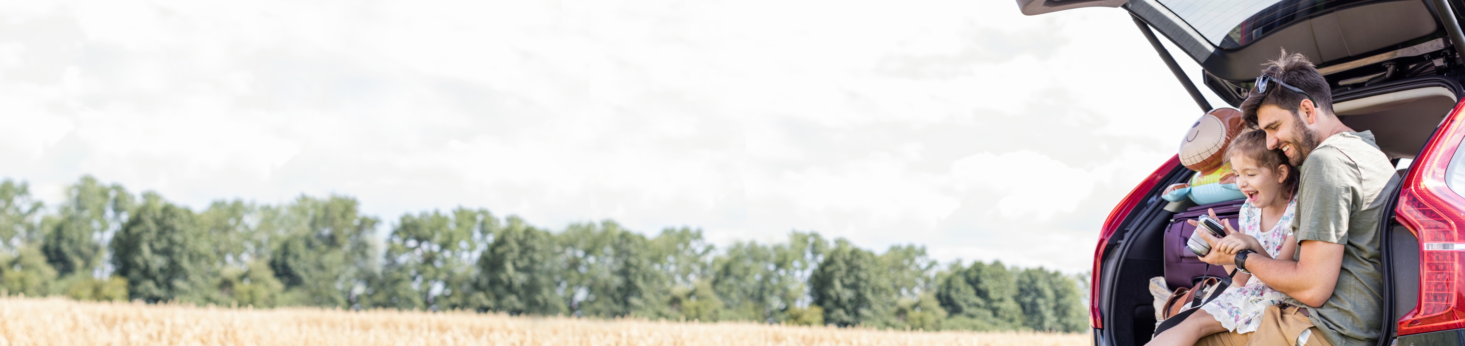 Auto Loans & Car Financing from Bank of America